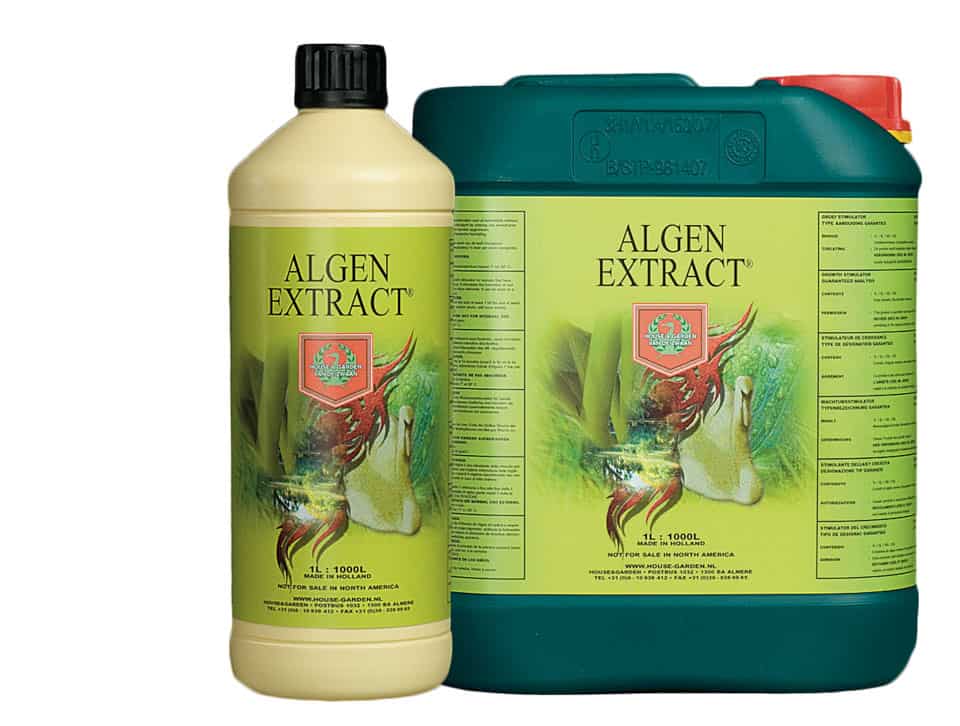 H&G-ALGEN EXTRACT - הידרו סטאר - צמחו עלינו