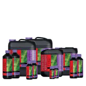 ATAMI - BLOOM BASTIC - תוסף הדישון המומלץ במחיר מציאה - HYDO STAR